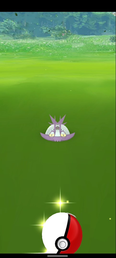 Wimpod-Pokemon-TCG-GO | Squared Potato